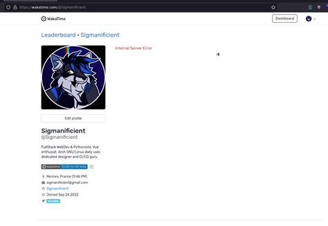 Dashboard Stuck On Query Timeout Rwakatime