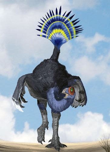 Caudipteryx Pictures And Facts The Dinosaur Database