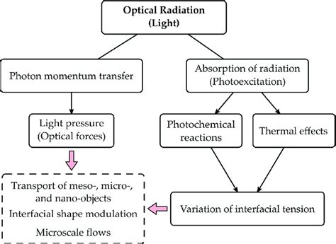 the ways of light energy conversion into kinetic energy of motion