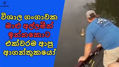 ඔයාටත් මෙහෙම වුනොත් මොකද කරන්නේ Youtube