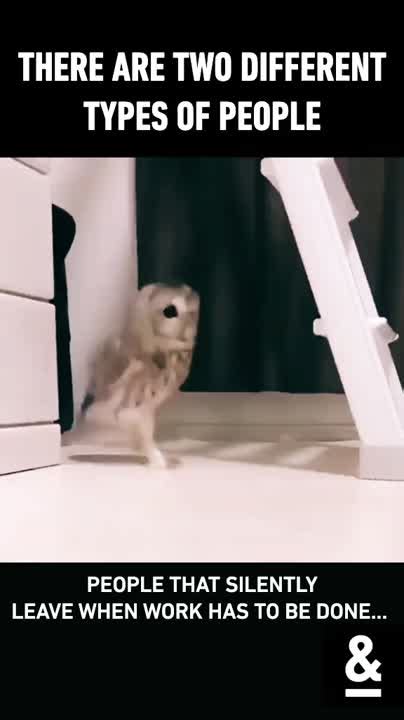 Safdar Ali Posted On Linkedin