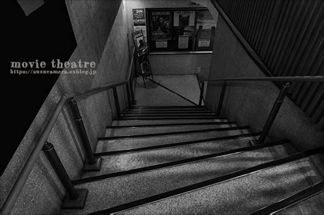 後悔先に立たず すずちゃんのカメラ！かめら！camera！