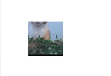 Working With Images Using Python Docx Module Tpoint Tech