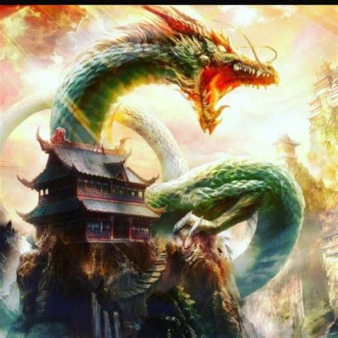 Produk Rumah Naga Official Shopee Indonesia