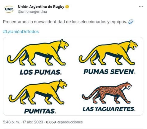 Los Pumas Cambiaron Su Histórico Logo Los Motivos Detrás De La