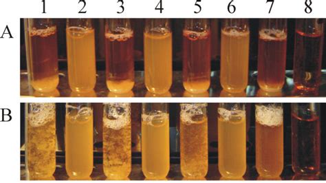 Aggregation Ability Of L Lactis Subsp Lactis Bgkp1 Bgkp1 20 And Download Scientific Diagram