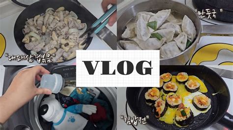 Vlog Youtube