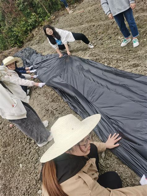 【学生工作】学生成长与发展中心“会计菁英训练营”第二十六期：“会乐园地”种植活动圆满完成 西南财大会计学院