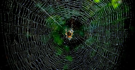 Aws Appsync Events Adds Direct Websocket Message Publishing Infoq