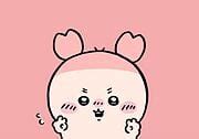 Furuhonya Chiikawa Wiki
