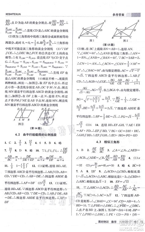 浙江人民出版社2021课时特训九年级数学全一册z浙教版答案 答案圈