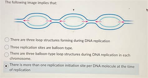Solved The Following Image Implies That There Are Three Loop Chegg