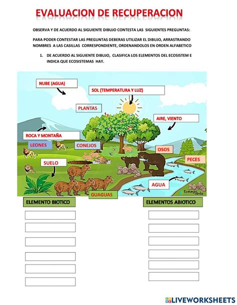 Ecosistemas Online Exercise For Grado 6 Bachillerato Ecosistemas
