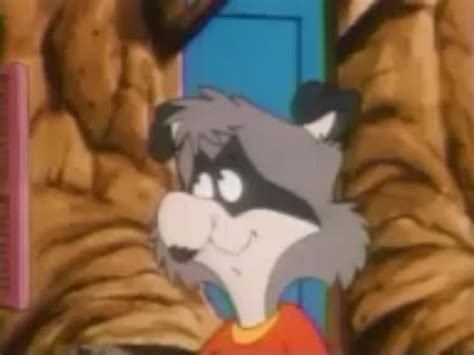 The Raccoons 1985