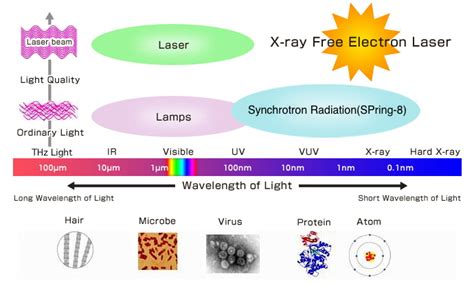 What Is The Xfel Riken Harima X Ray Free Electron Laser Xfel