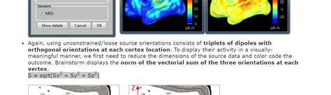 Morlet Wavelet Parameters Discussions Brainstorm