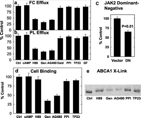 Effects Of Protein Kinase Inhibitors On Abca1 Dependent Lipid Efflux