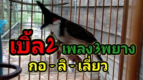 เบล เพลง พยางค กอ ล เลยว ฝกนกนบดอก YouTube