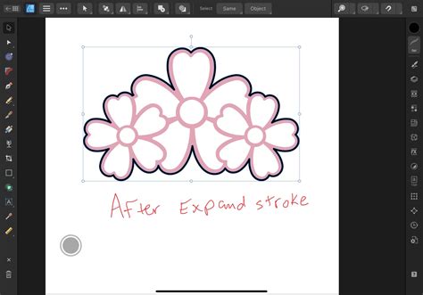 Expand Stroke Glitch In Affinity 2 For IPad Affinity On IPad