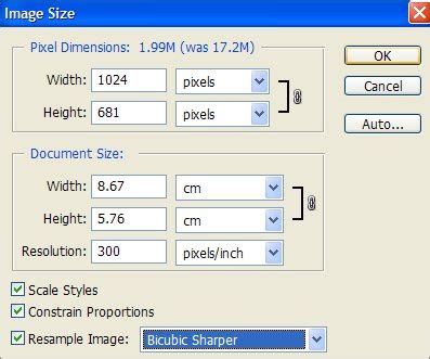 How To Resize Images SLR Photography Guide