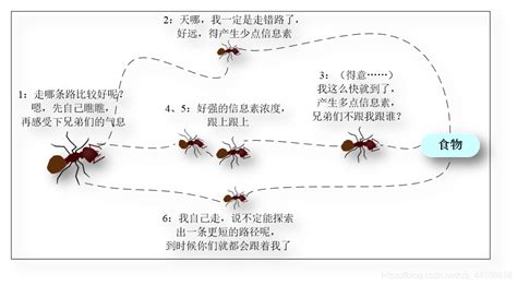 一文搞懂什么是蚁群优化算法ant Colony Optimization Aco【附应用举例】请指出蚁群优化算法的基本思想来源 Csdn博客