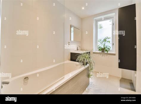 A Bathroom With A Bathtub And Plants In The Window Sid On The Wall Next