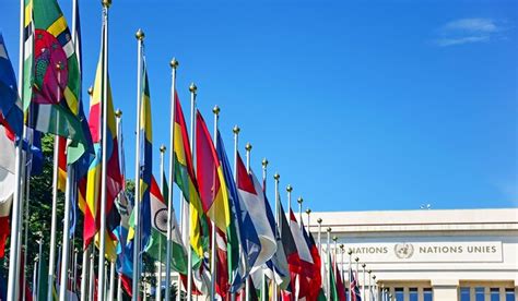Vexillology Word Genius