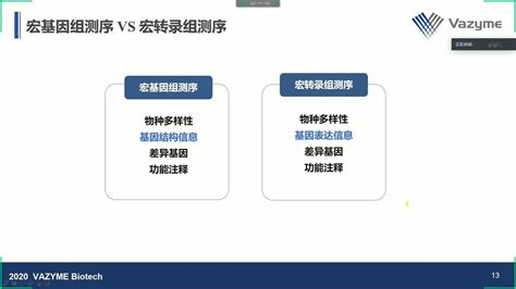 微生物组学研究 16s测序 从建库到数据分析全流程解析 哔哩哔哩