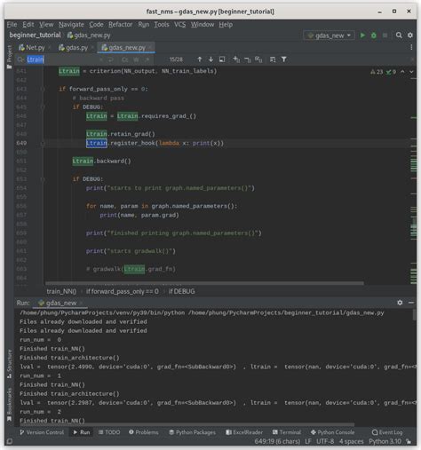 Nan Training Loss Rpytorch