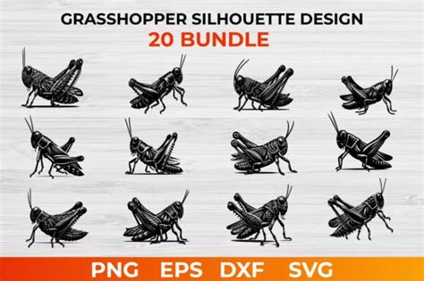 20 Design Grasshopper Silhouette Bundle Graphic By Graphicgradient