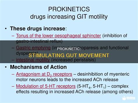 Prokinetic Stimulating Gut Movement Medshun