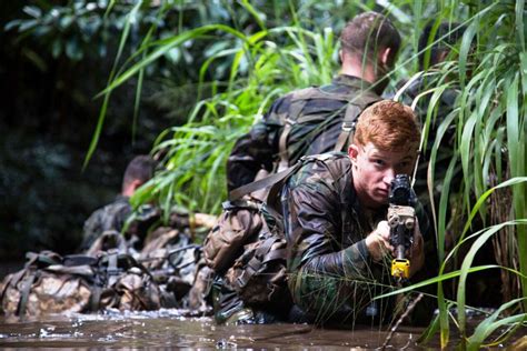 Jungle Warfare Encyclopedia Mdpi