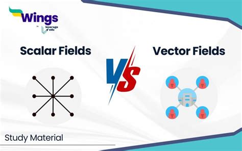 Difference Between Scalar And Vector Fields Definition Identities And Examples Leverage Edu