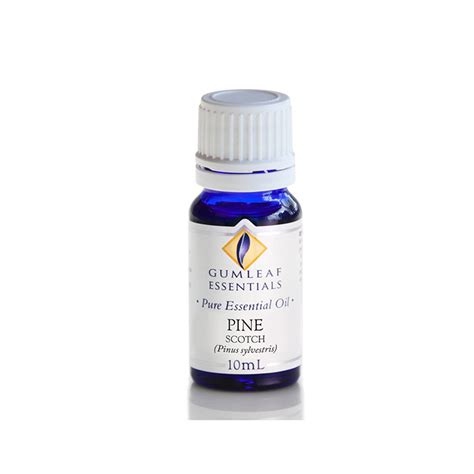 Pine Essential Oil Essential Oil Shop