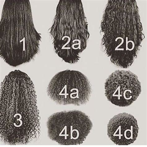 Curl Patterns The Hair Is Probably All The Same Length But Shrinkage