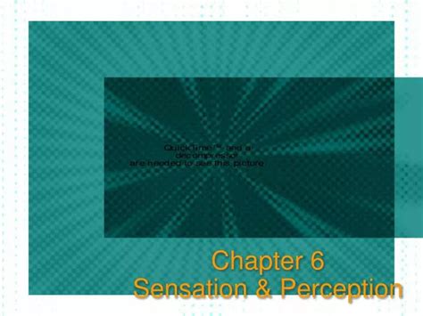 PPT Chapter 6 Sensation Perception PowerPoint Presentation ID 5961788