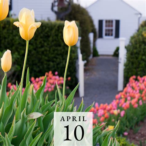 April 10 2026 P Allen Smith April 10 2026 P Allen Smith