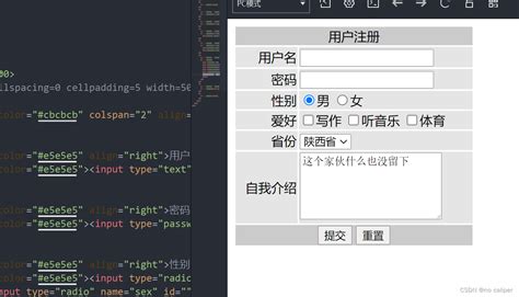 web前端 作业 2 CSDN博客