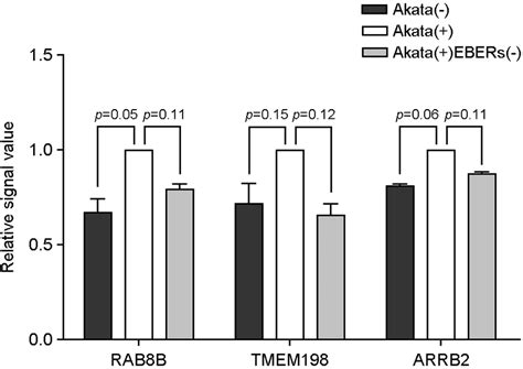 Validation Of Selected Mrna From Microarray Data Microarray Analysis
