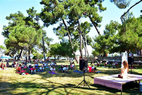 Indian Diplomacy On Twitter Rt Indiacroatia Amb Rajks73 Participated At The Idy2023