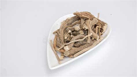 Hog Weed Boerhavia Diffusa Ayurvedic Plants Stock Image Image Of