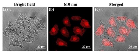 Molecules Free Full Text Carbon Dots Derived From Tea Polyphenols