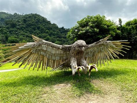 賞景趁現在 武荖坑「永續樂園」要bye了 生活 Nownews今日新聞