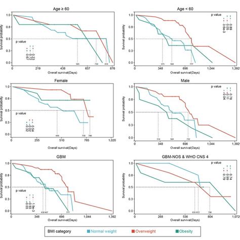 Kaplan Meier Plots Of Subgroup Analyses Survival Analyses Of Different