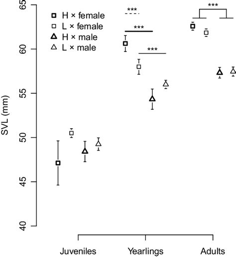 Final Snout To Vent Length Svl Of Juveniles Yearlings And Adults By