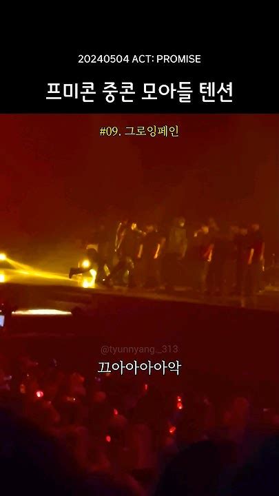 투바투모아 프미콘 중콘 모아들 텐션 Youtube