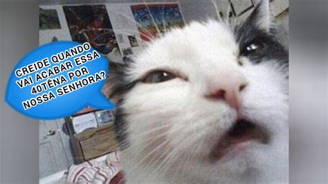 Tiktoks AleatÓrios 🙆😄 Youtube