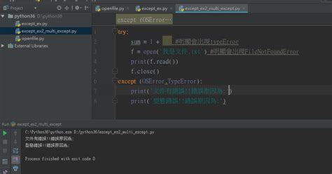 Python Exception With