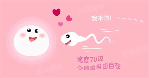 怀孕第几天能测出孕周怎么算准爸妈手册 知乎