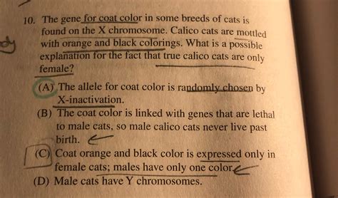 Can T We Speak Of Codominance For Sex Linked Traits I Though That